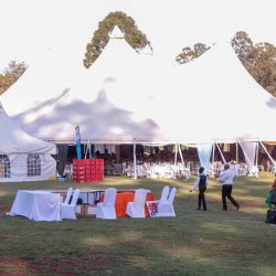 Latest Work - Maxton Media Group